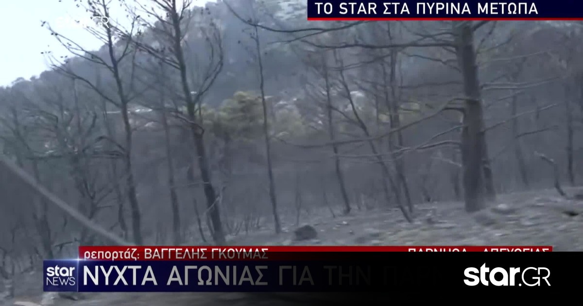 Video Φωτιά Πάρνηθα: Αυτοψία Star για το μέγεθος της καταστροφής | Star.gr