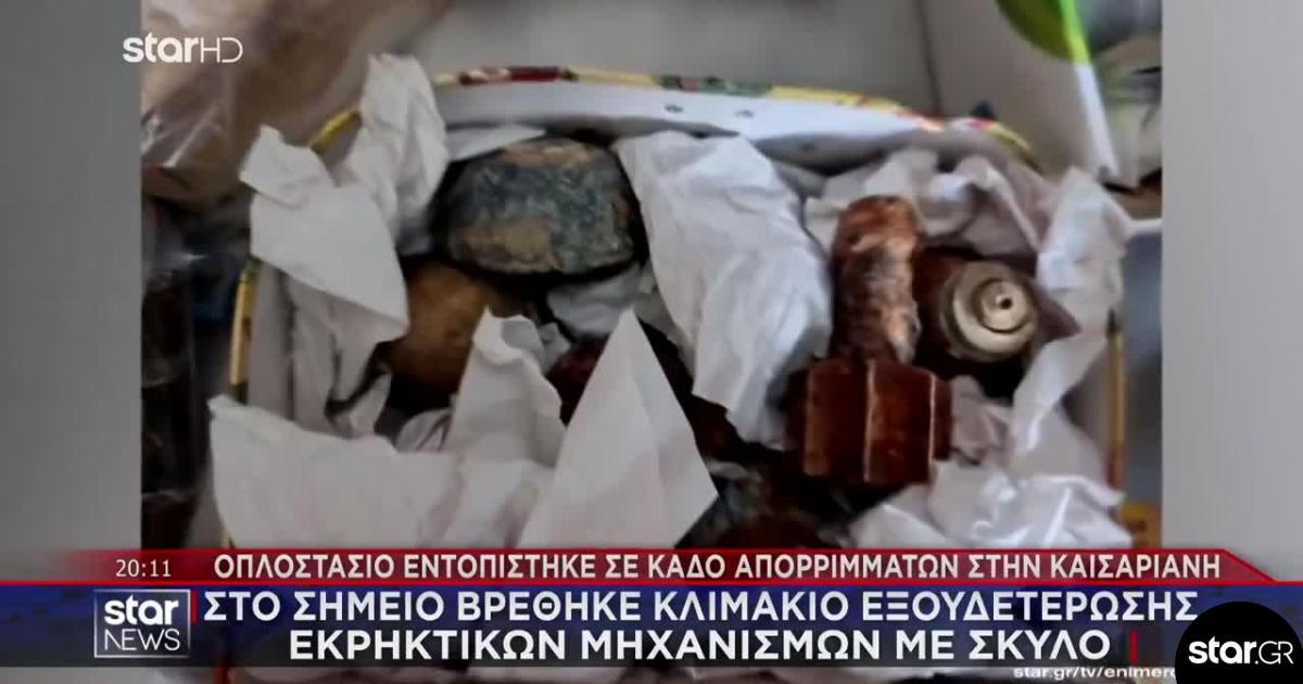 Video Καισαριανή: Σε Κάδο Βρέθηκαν Όπλα, Χειροβομβίδες Και Εικόνες ...