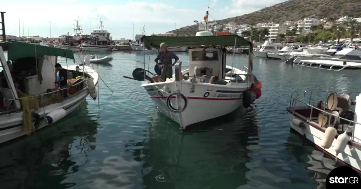 Video Άδειασαν Τα Δίχτυα Των Επαγγελματιών Ψαράδων | Star.gr